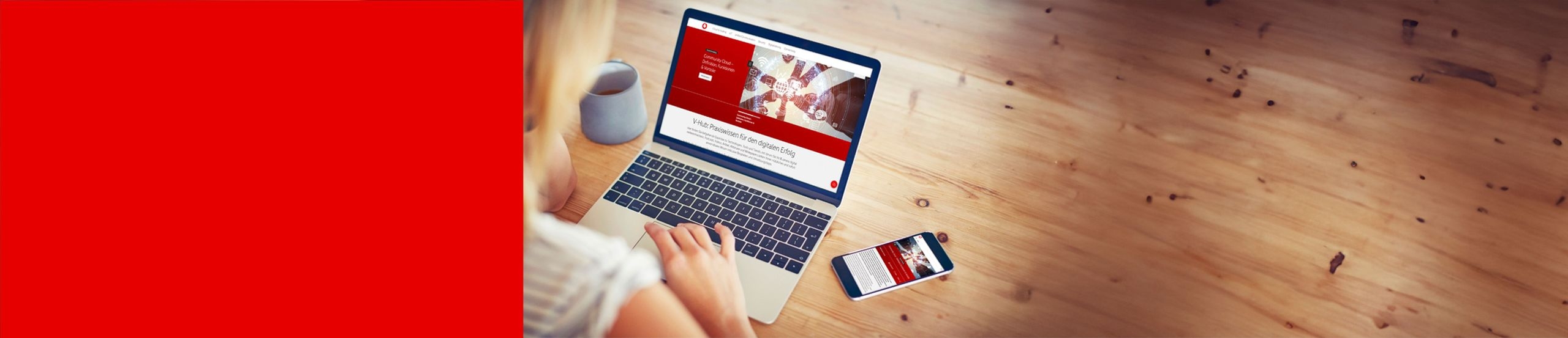 Willkommen beim V-Hub